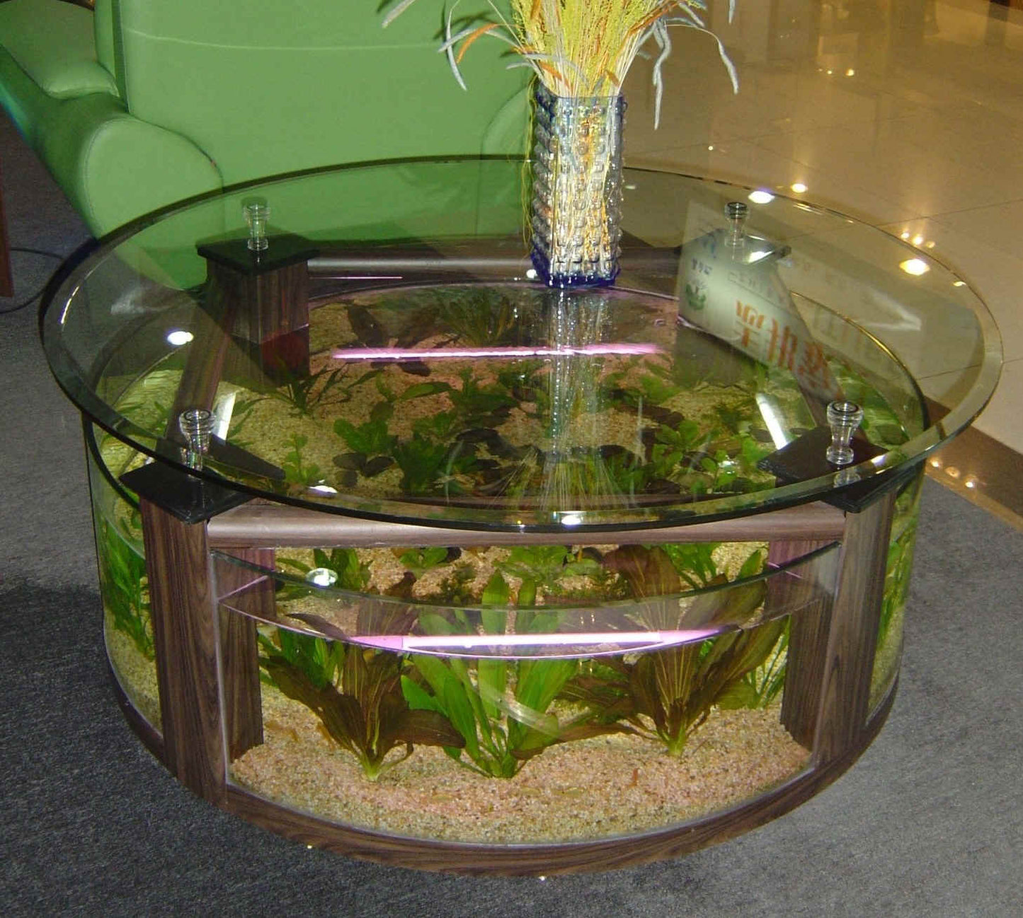 WARRANTY INCLUDED! 55 gallon GLASS round circle table aquarium fish ta ...